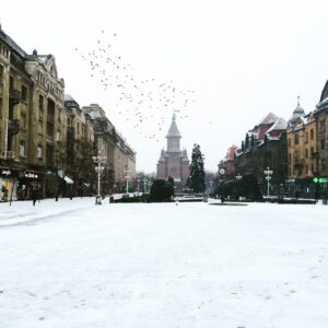 On the things to do and not to do in Timisoara